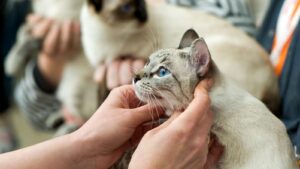 Homepage IX Center - I-X Center